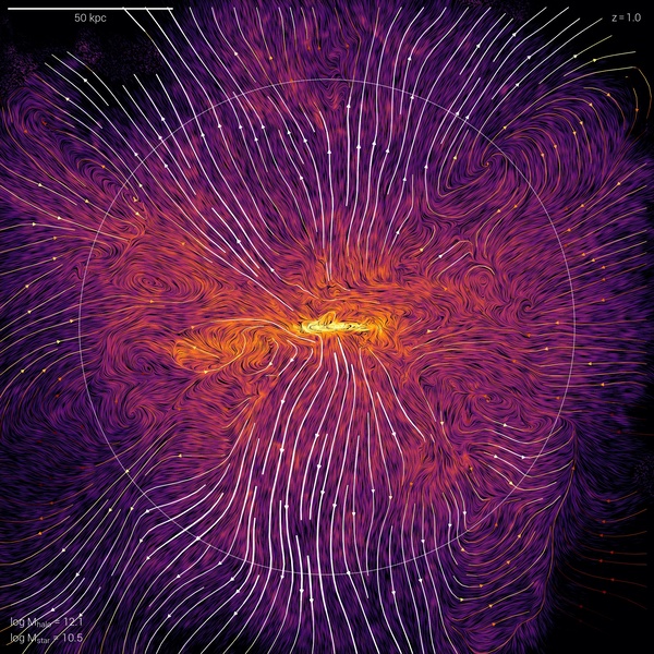 IllustrisTNG - Infinite Gallery