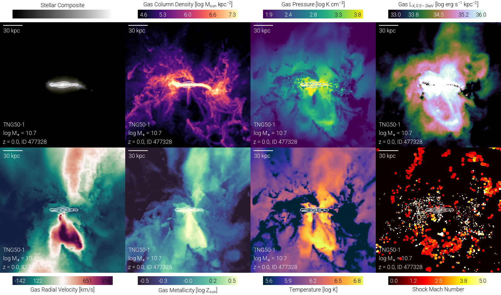 IllustrisTNG - Infinite Gallery