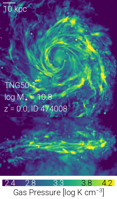 IllustrisTNG - Infinite Gallery