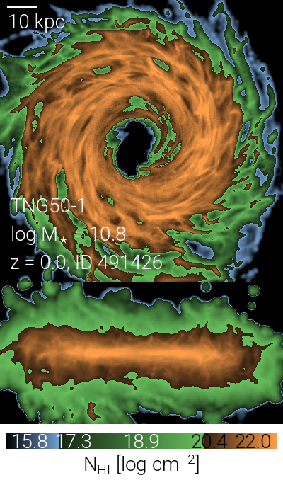 IllustrisTNG - Infinite Gallery