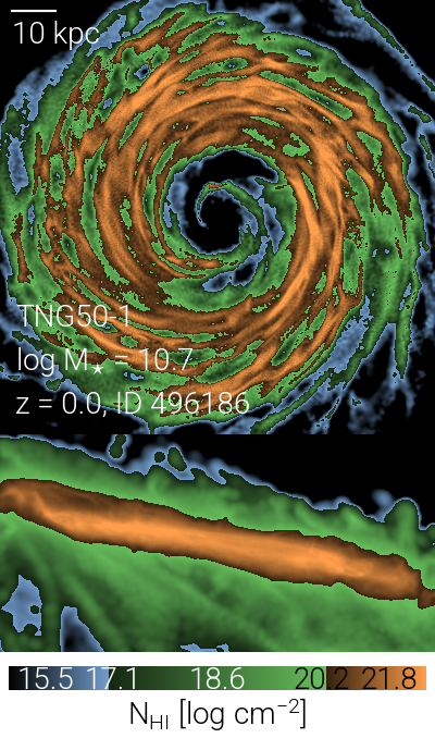 IllustrisTNG - Infinite Gallery