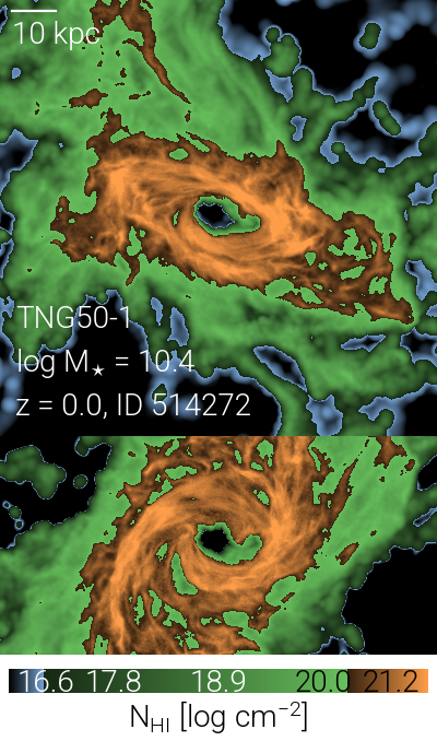 IllustrisTNG - Infinite Gallery