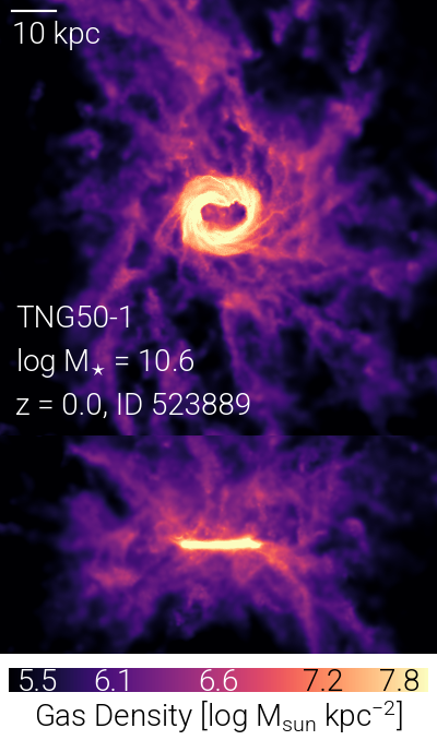 IllustrisTNG - Infinite Gallery