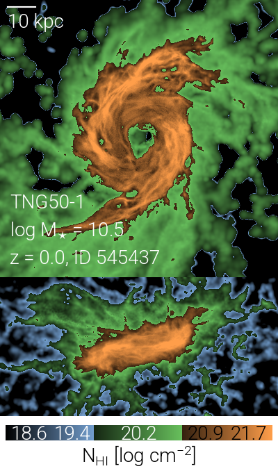 IllustrisTNG - Infinite Gallery