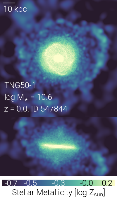 IllustrisTNG - Infinite Gallery