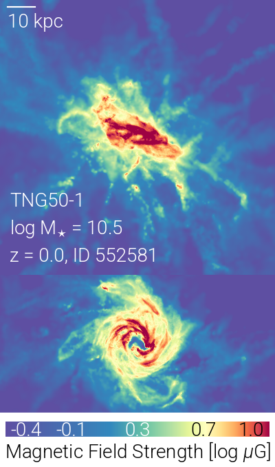 IllustrisTNG - Infinite Gallery