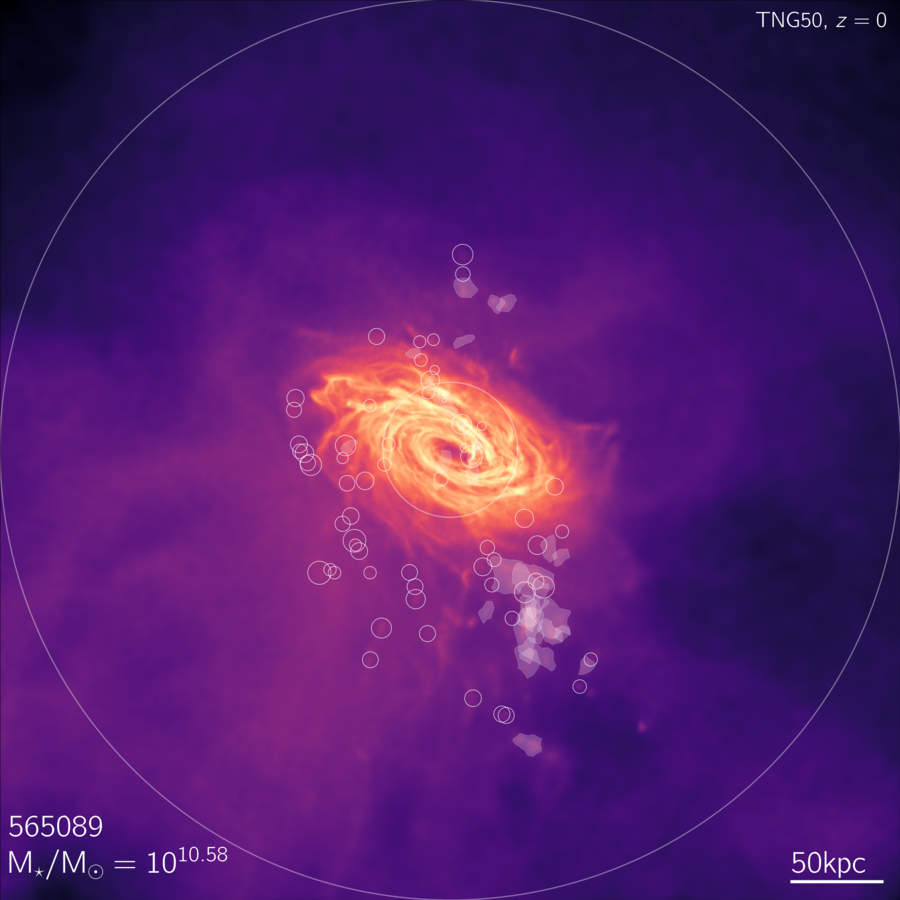 IllustrisTNG - Infinite Gallery