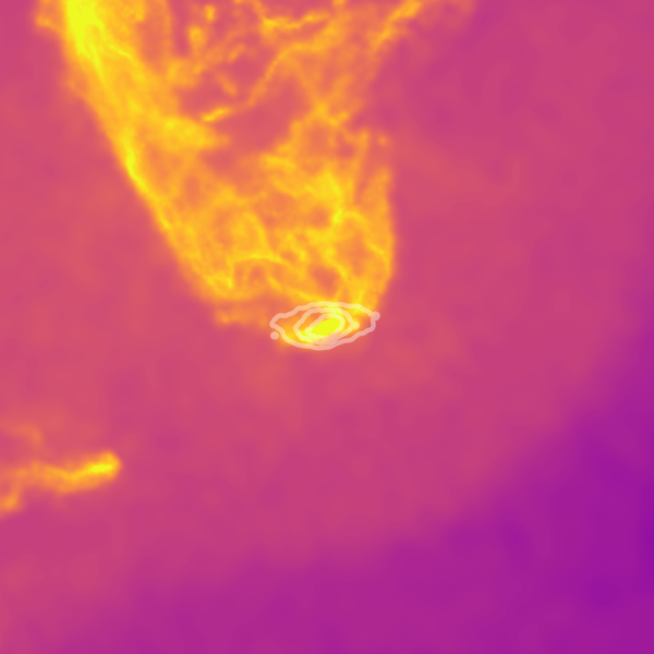 IllustrisTNG - Infinite Gallery